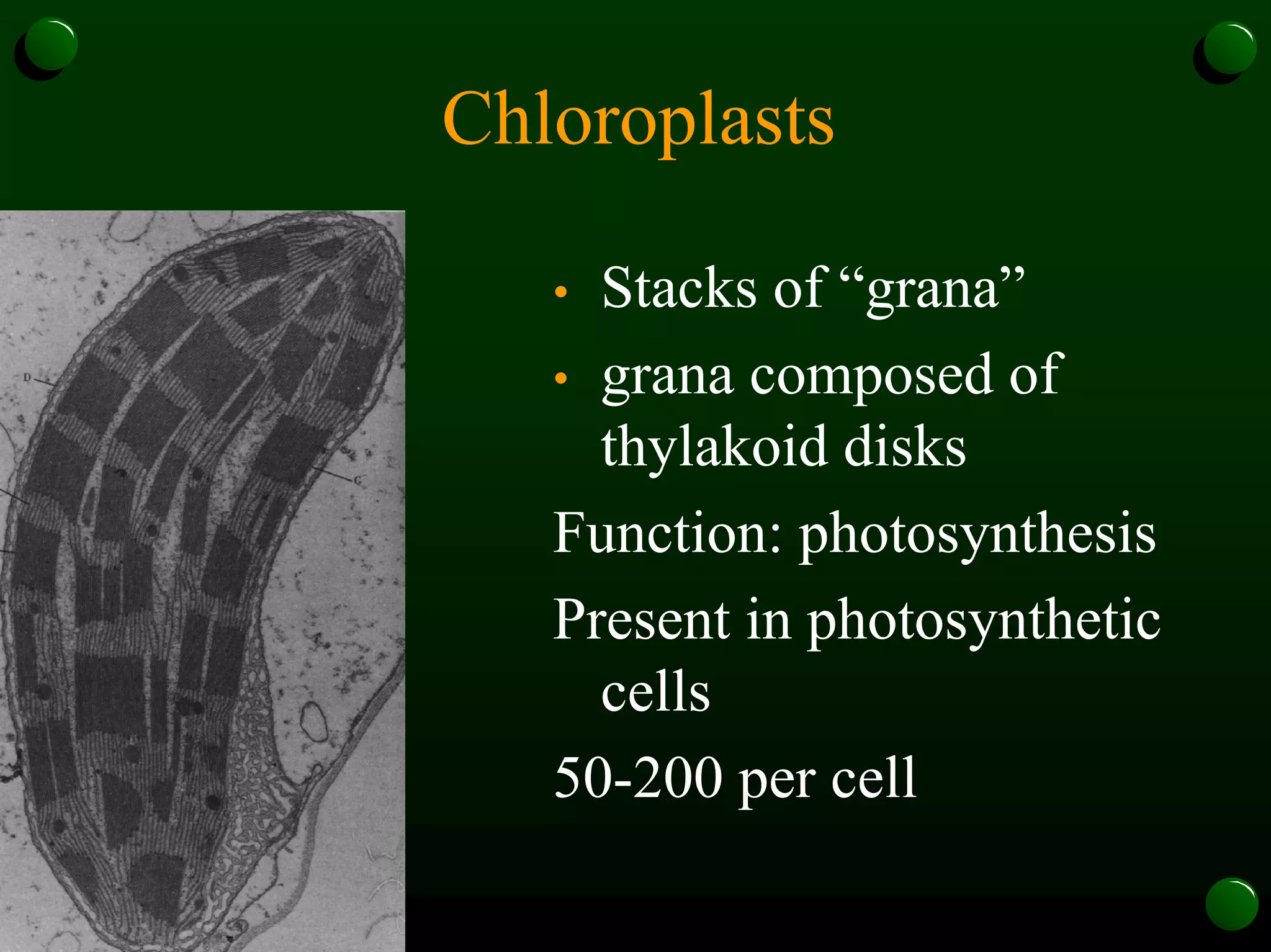 Introduction to biochemistry | PDF