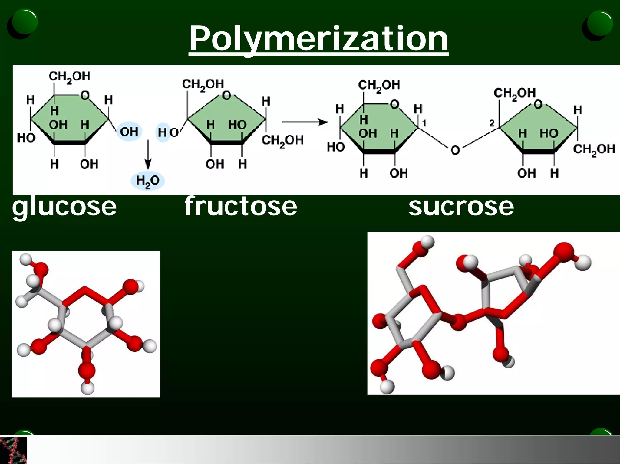 Introduction to biochemistry | PDF