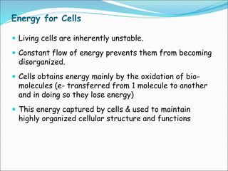 introductiontobiochemistry-161031150006.ppt