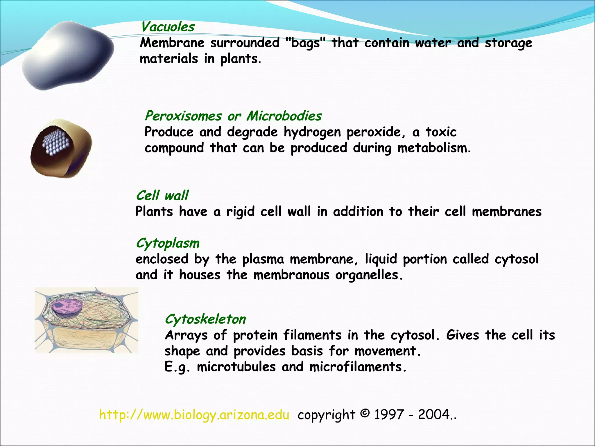 Introduction to biochemistry | PPT