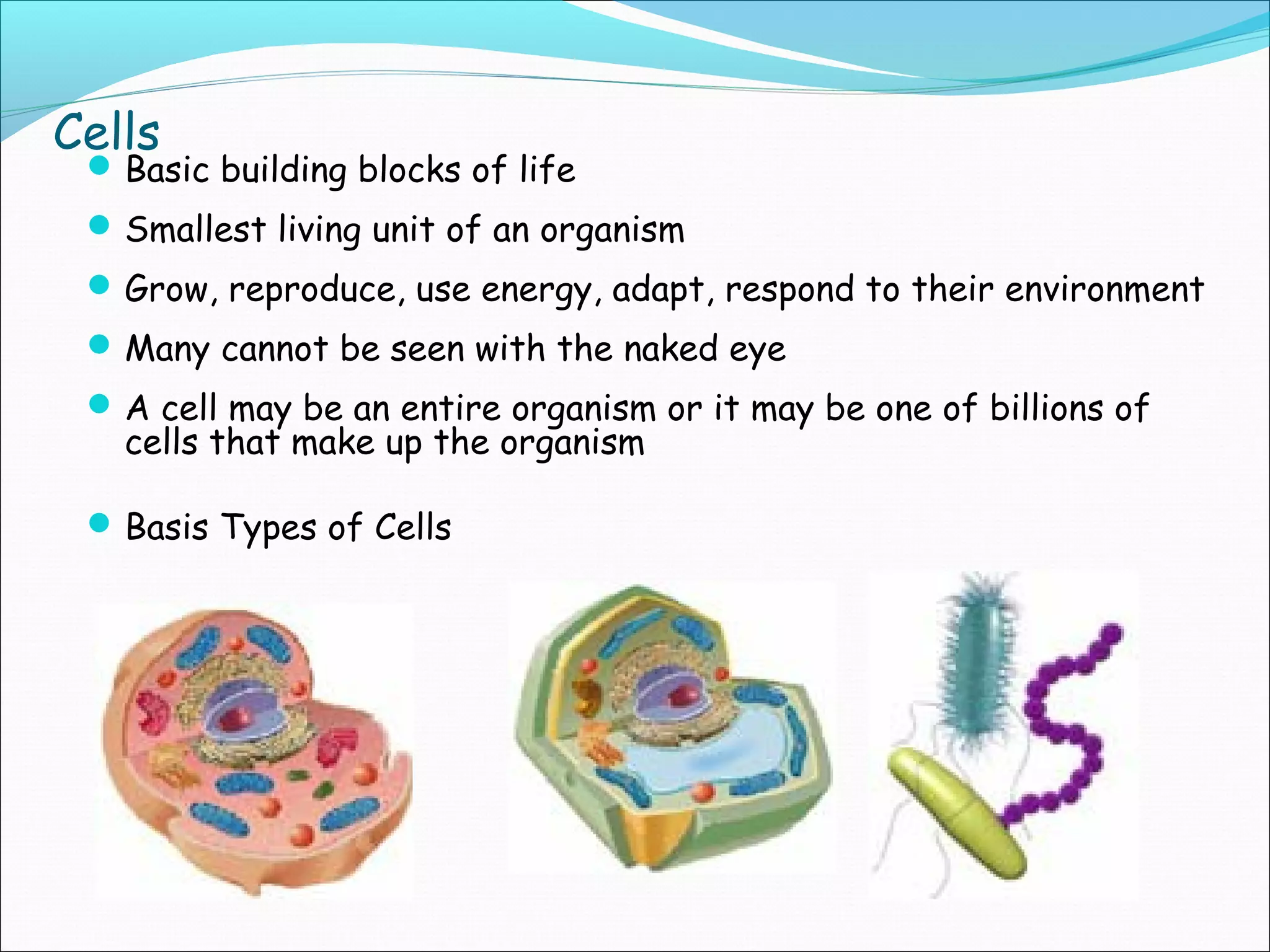 Introduction to biochemistry | PPT