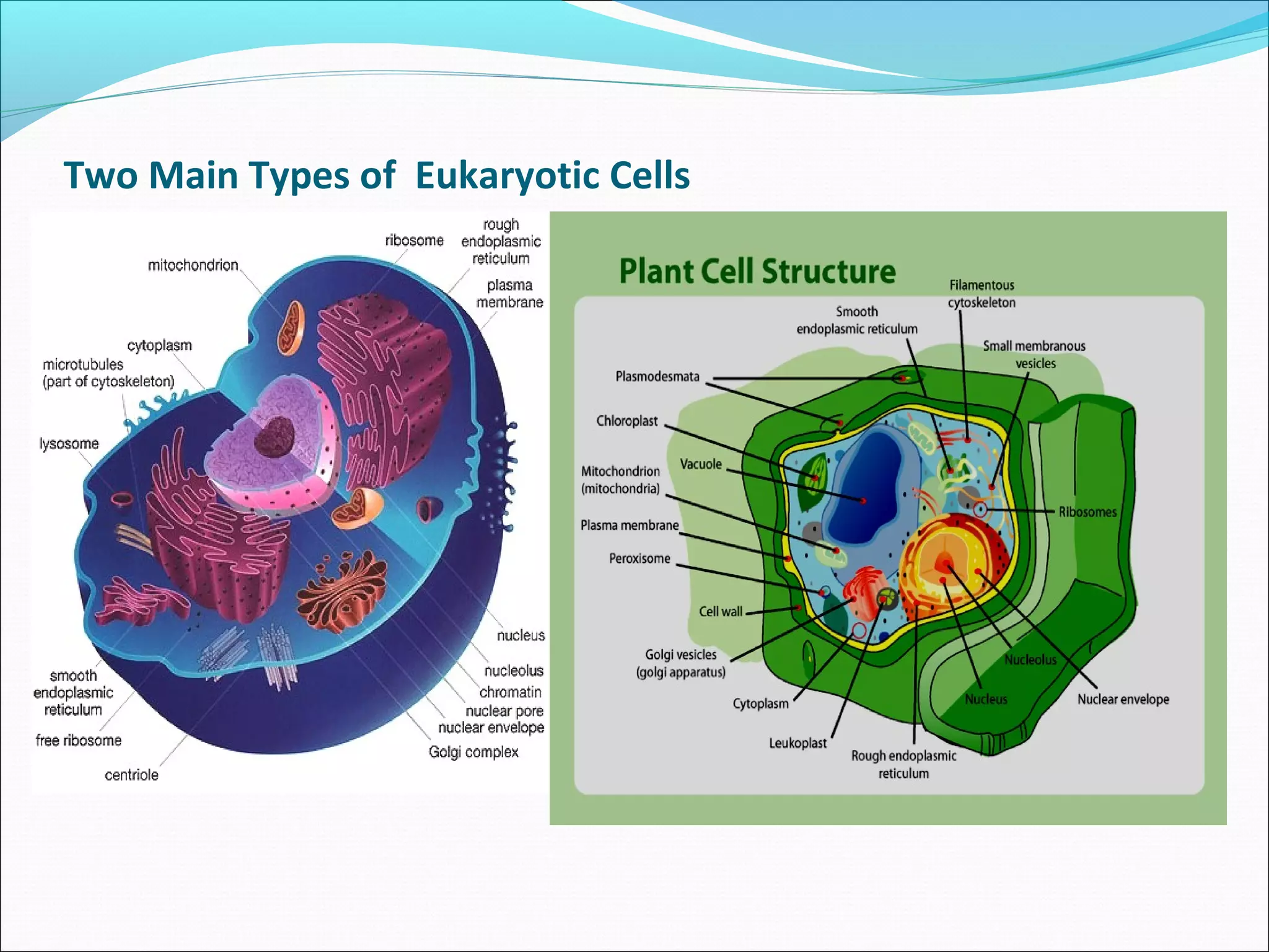 Introduction to biochemistry | PPT