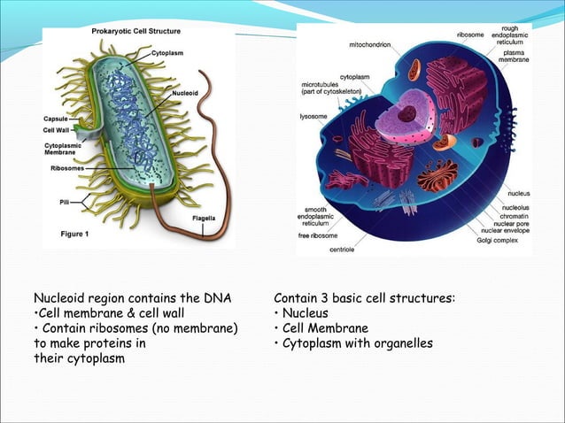 Introduction to biochemistry | PPT