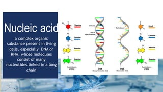 Introduction to biochemistry // Biochemistry | PPT