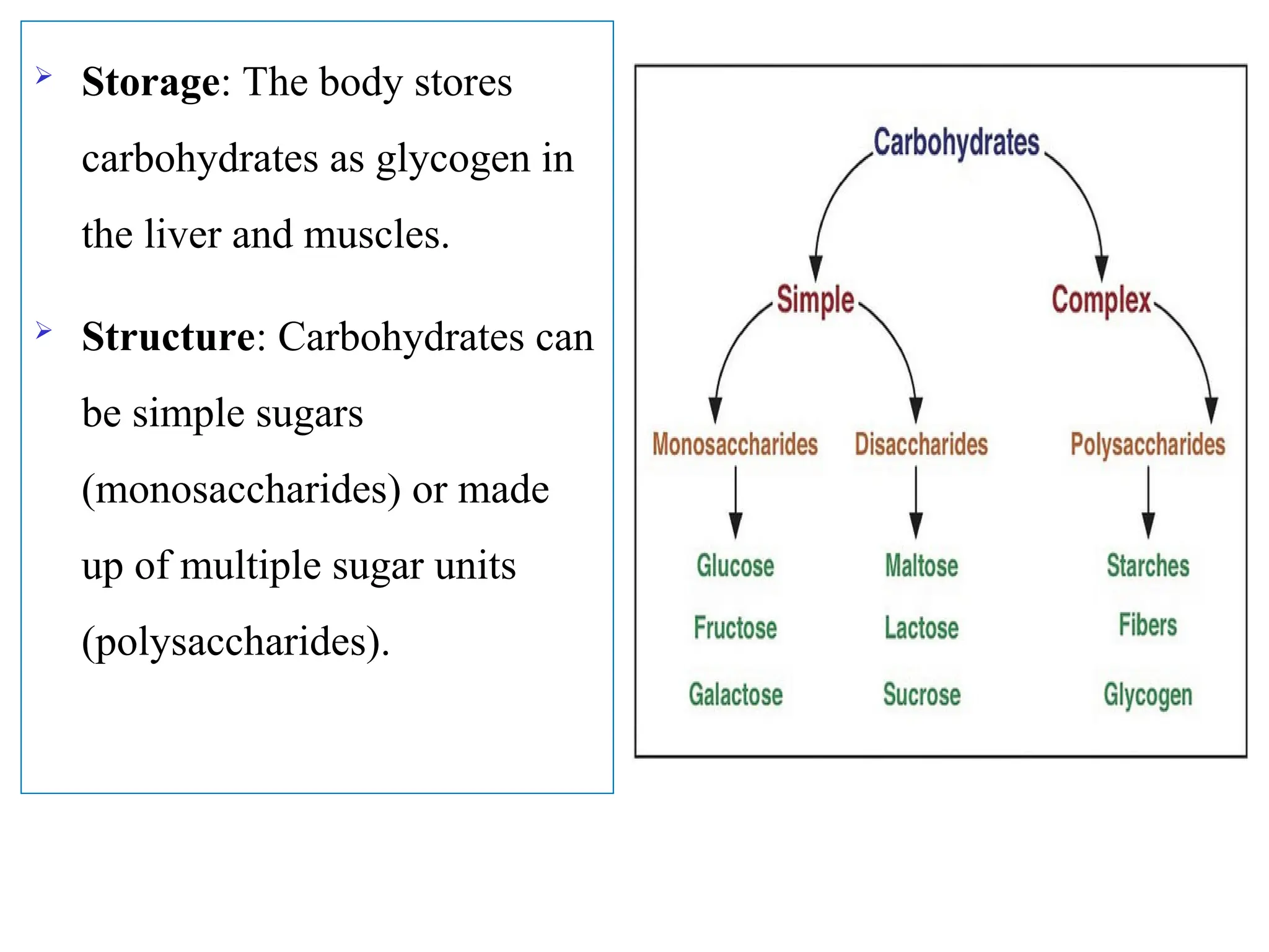 Introduction to Biochemistry lecture notes | PPT
