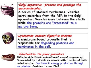 Introduction to Biochemistry lecture notes | PPT