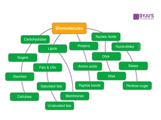 Introduction to Biochemistry lecture notes | PPT