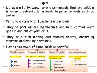 Introduction to Biochemistry lecture notes | PPT