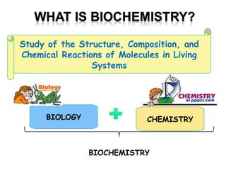 Introduction to Biochemistry lecture notes | PPT