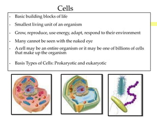 Introduction to Biochemistry-Md and BSN.pptx