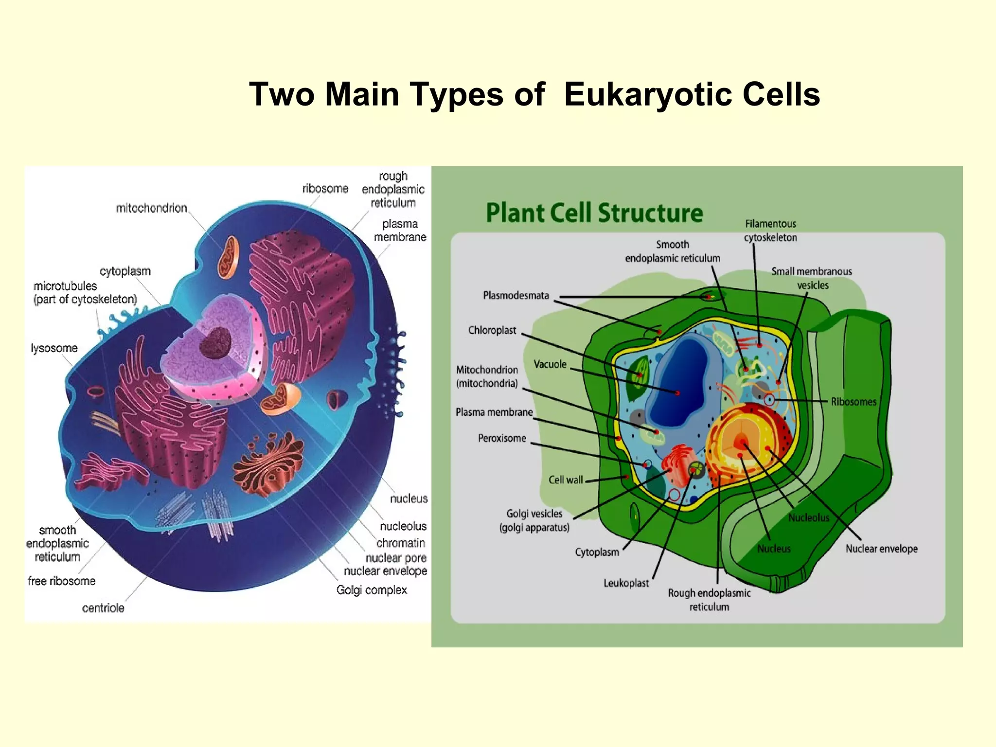 Introduction to biochemistry | PPT