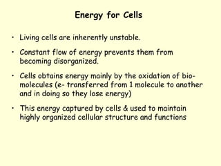Introduction to biochemistry | PPT