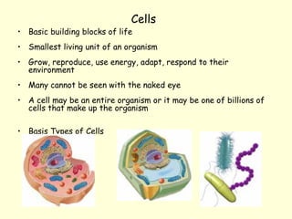 Introduction to biochemistry | PPT