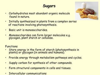 Introduction to biochemistry usp | PPT