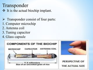 Introduction to biochips | PPTX