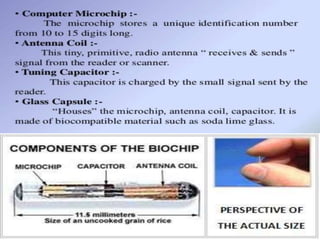 Introduction to biochips | PPTX