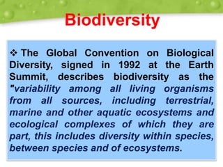 Introduction to biodiversity | PPTX