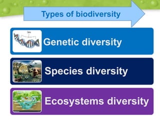 Introduction to biodiversity | PPTX