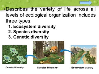Introduction to biodiversity | PPTX
