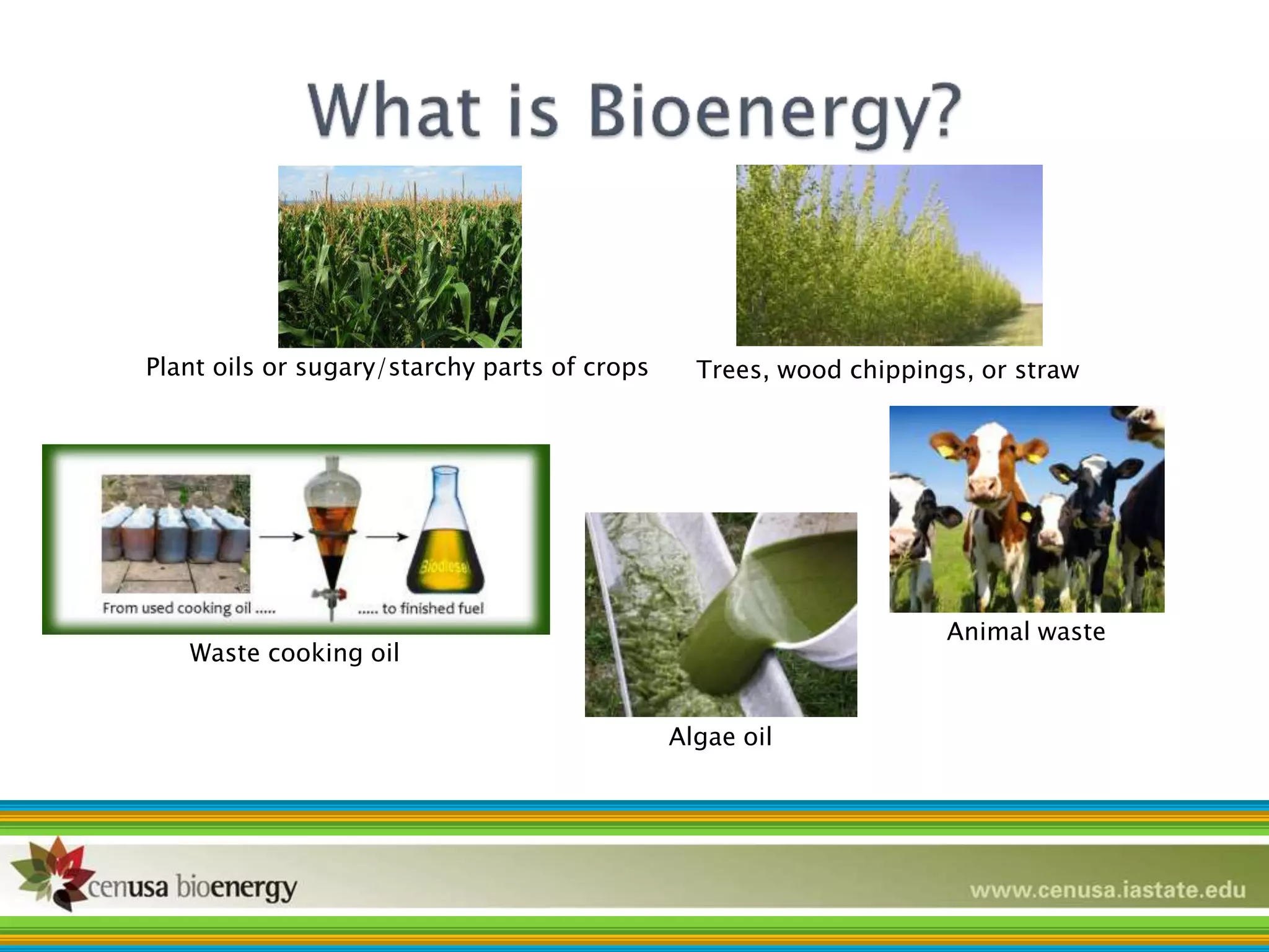 Introduction to Bioenergy.pptx