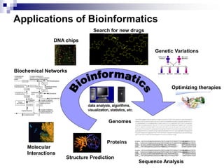 Introduction to Bioinformatics-1.pdf