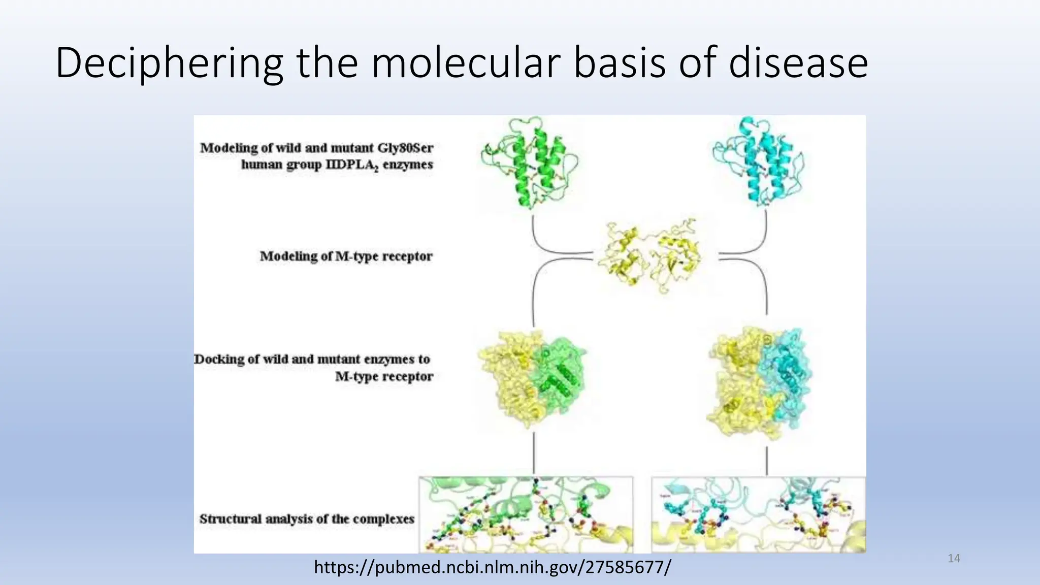Introduction to bioinformatics.pptx