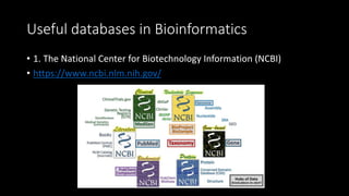 Introduction to bioinformatics.pptx