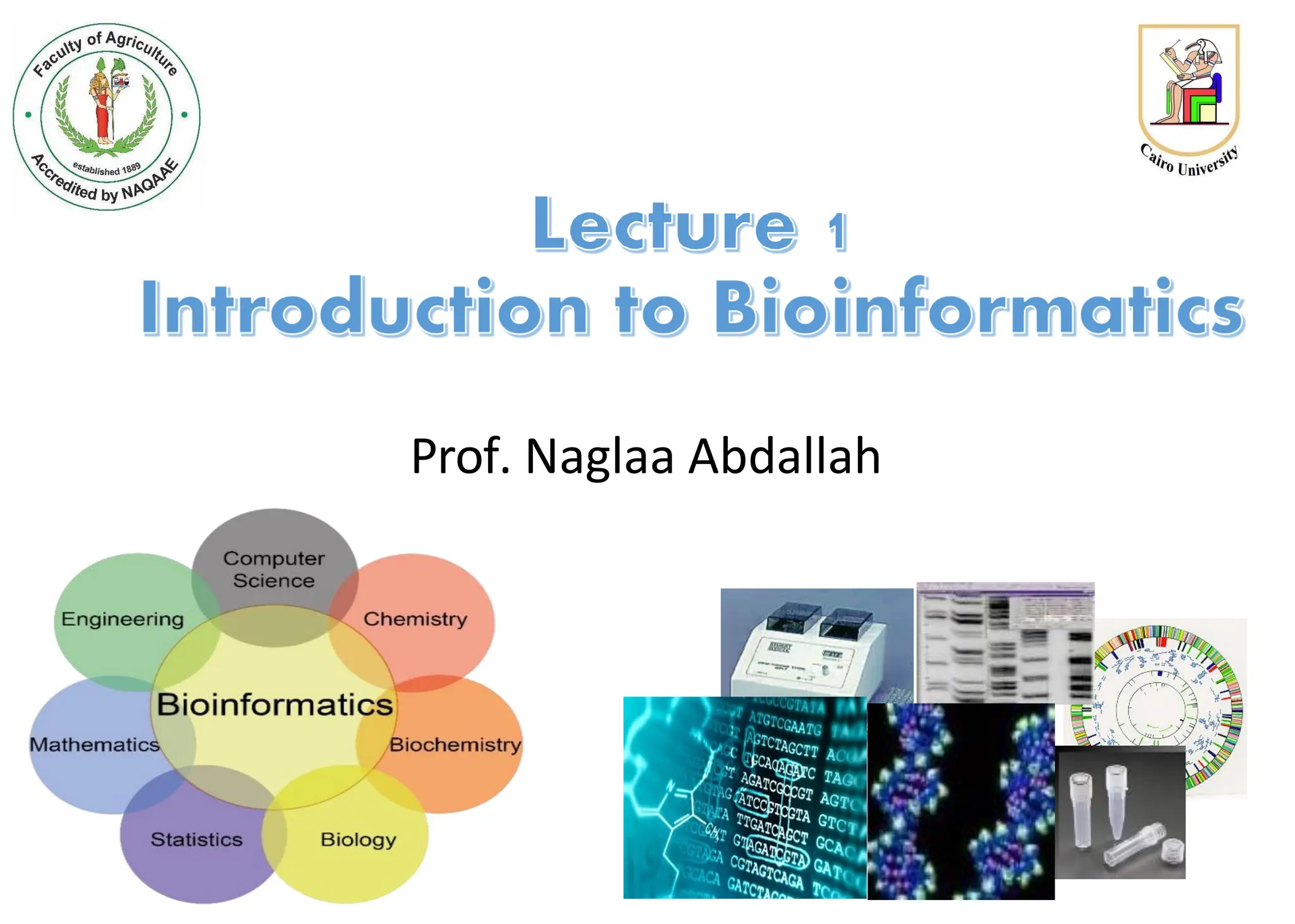 Introduction to Bioinformatics 2025.....pdf | Biological Sciences | Science