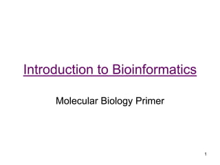 Introduction to Bioinformatics DNA, RNA, Transcriotion, Genes | PPT