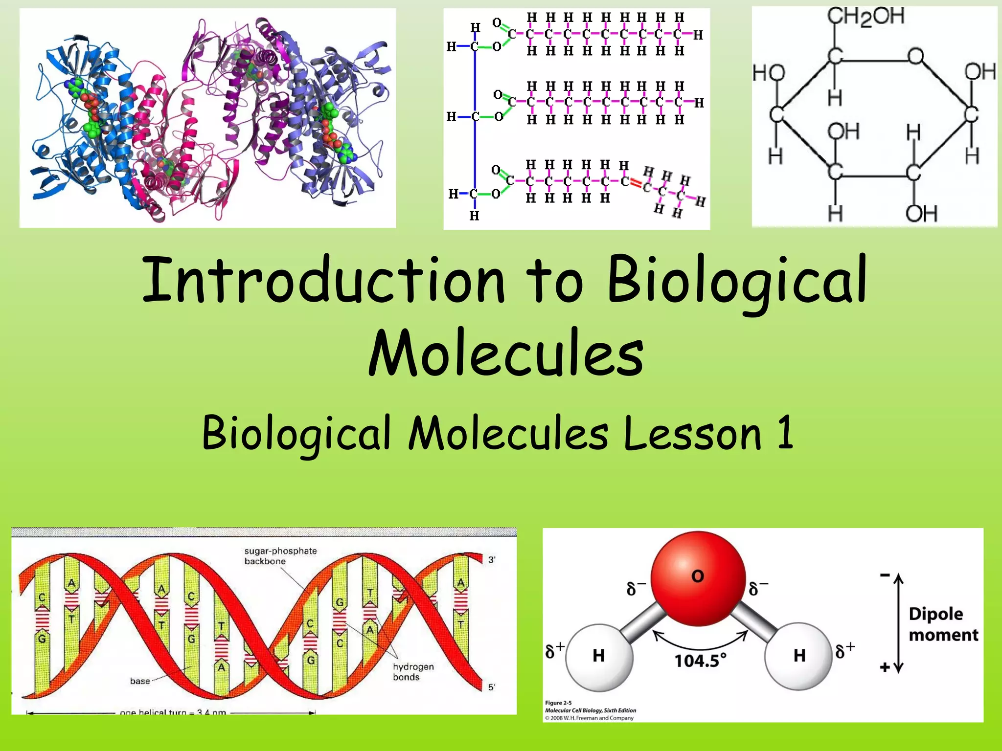 Introduction to biological molecules | PPT