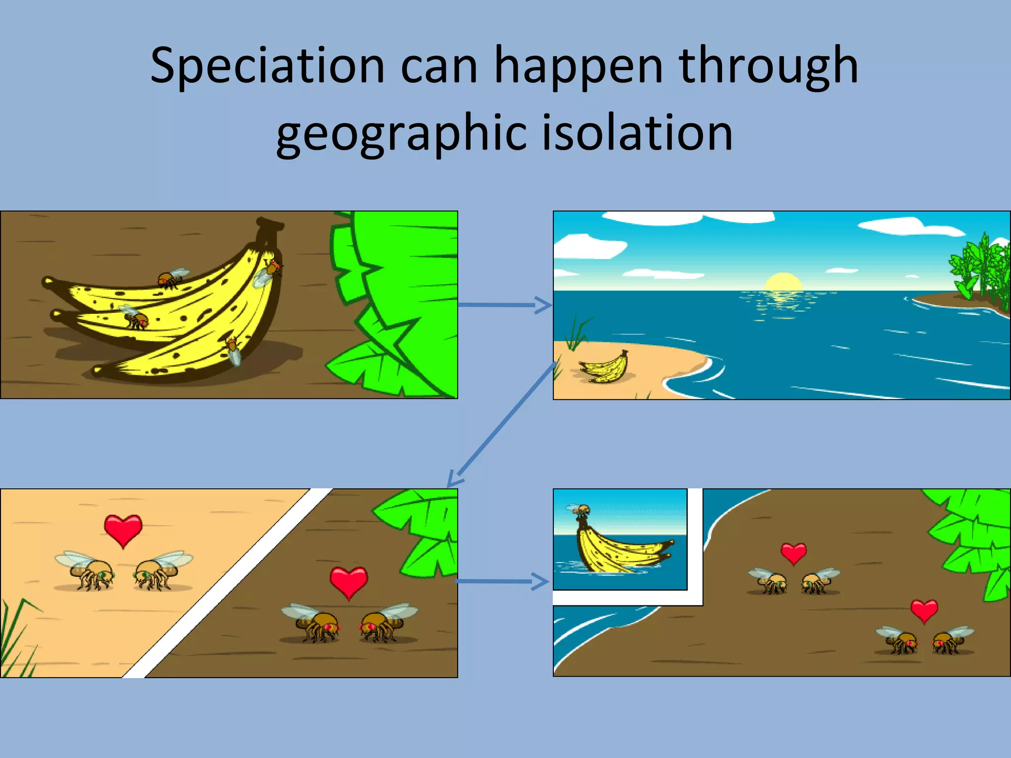 Introduction to biological oceanography notes | PPT