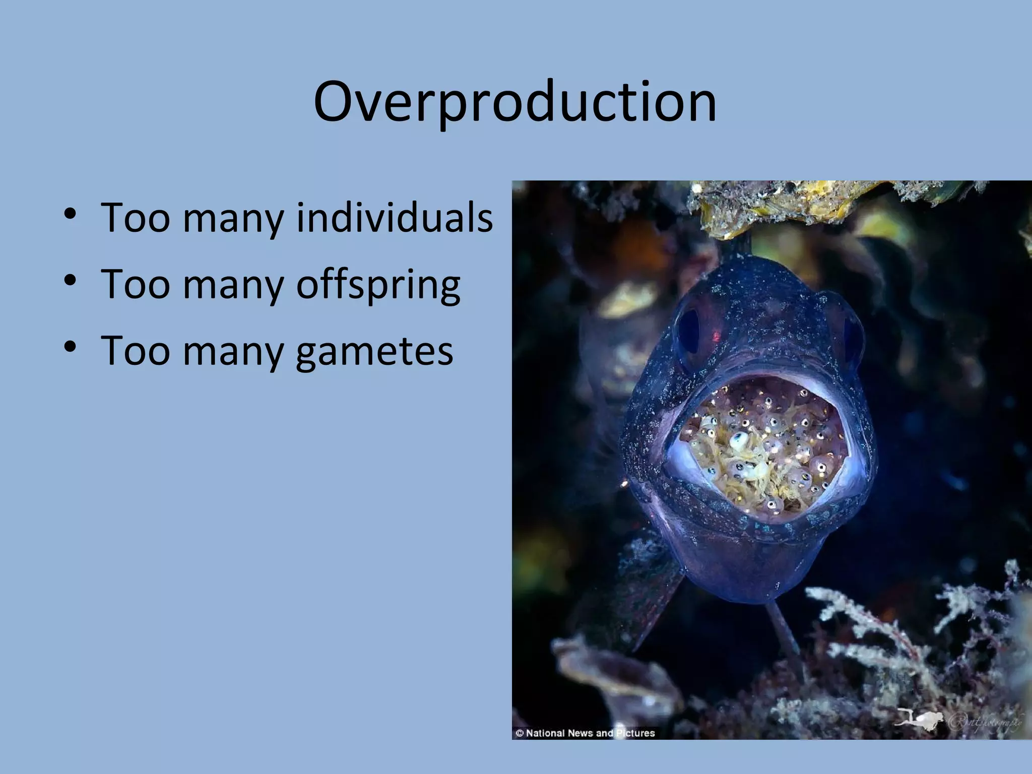 Introduction to biological oceanography notes | PPT