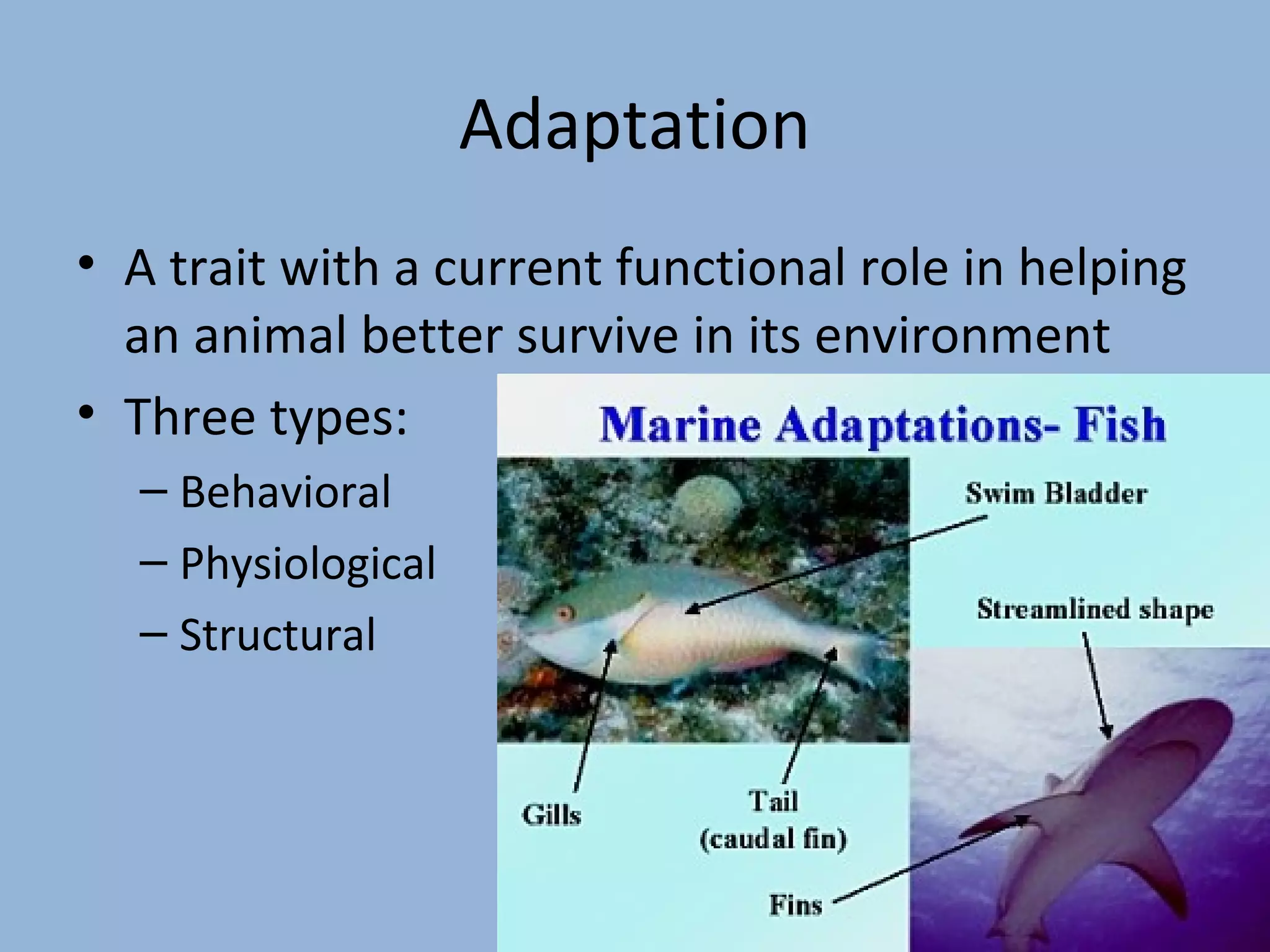 Introduction to biological oceanography notes | PPT