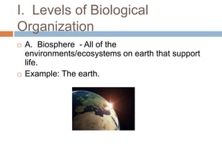 Introduction to biology | PPTX | Biological Sciences | Science