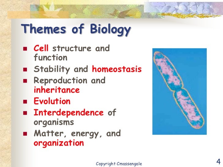 Introduction to biology
