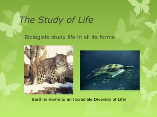Introduction to Biology | PPT