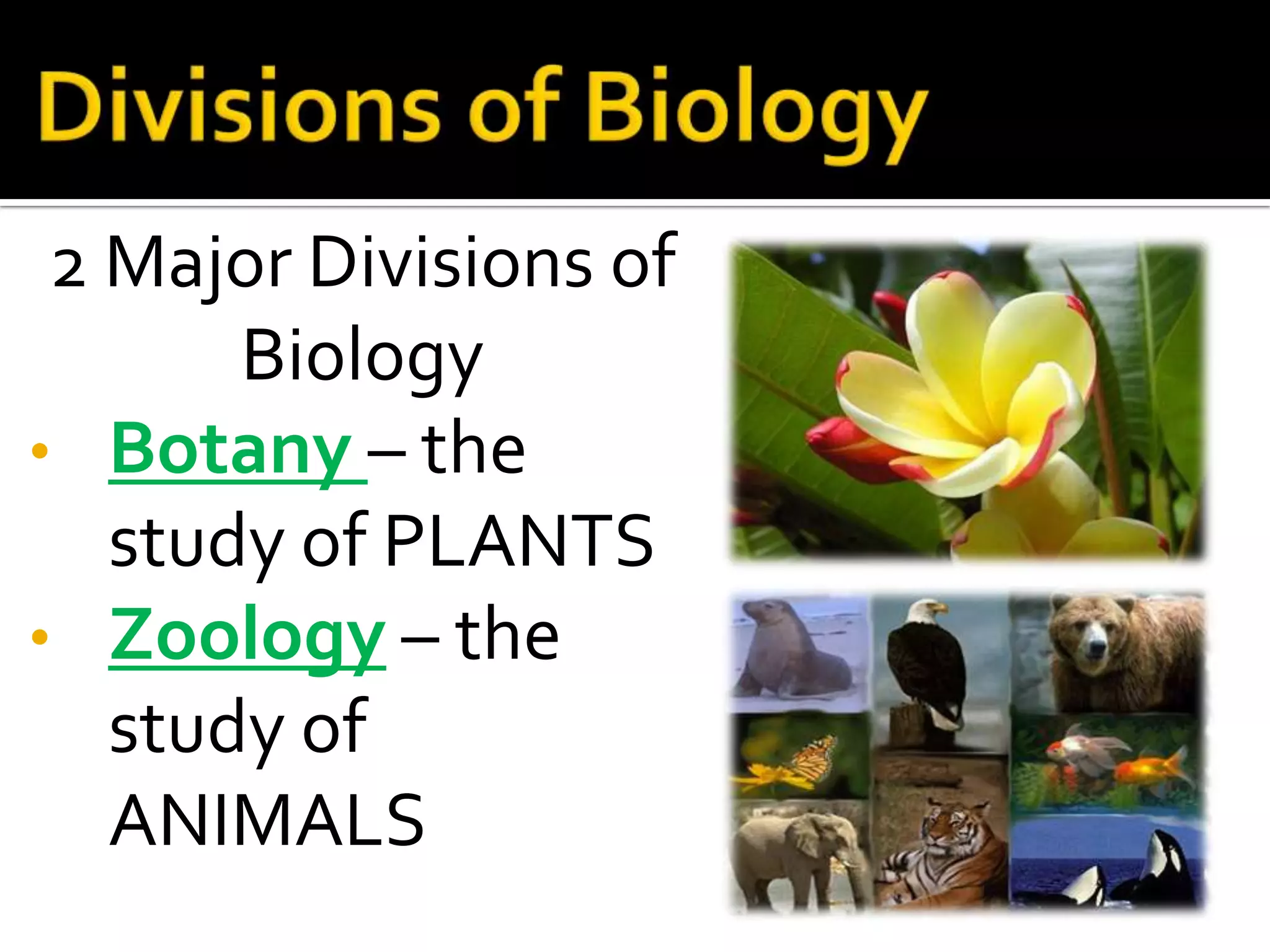 Introduction to Biology | PPTX