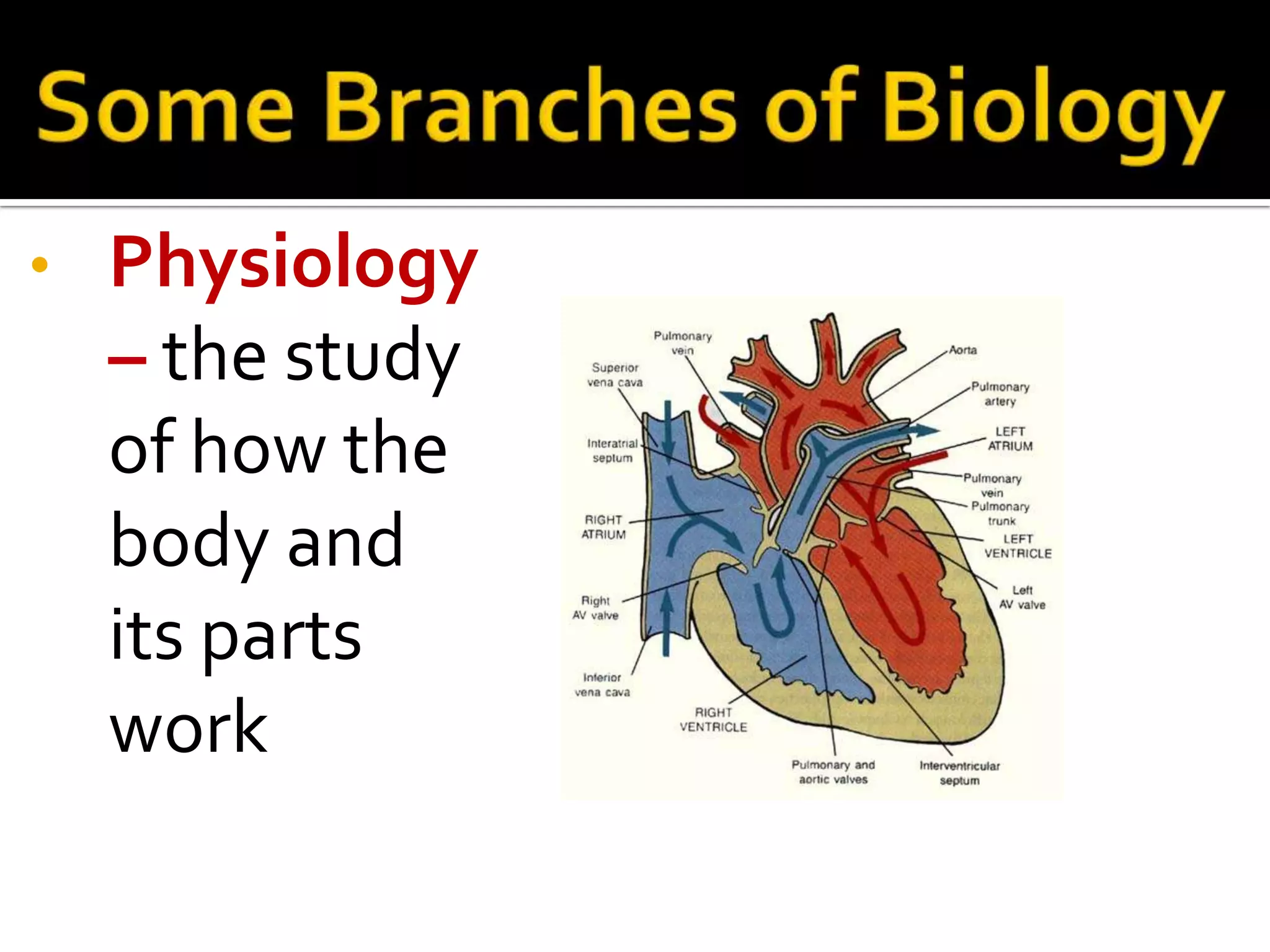 Introduction to Biology | PPTX
