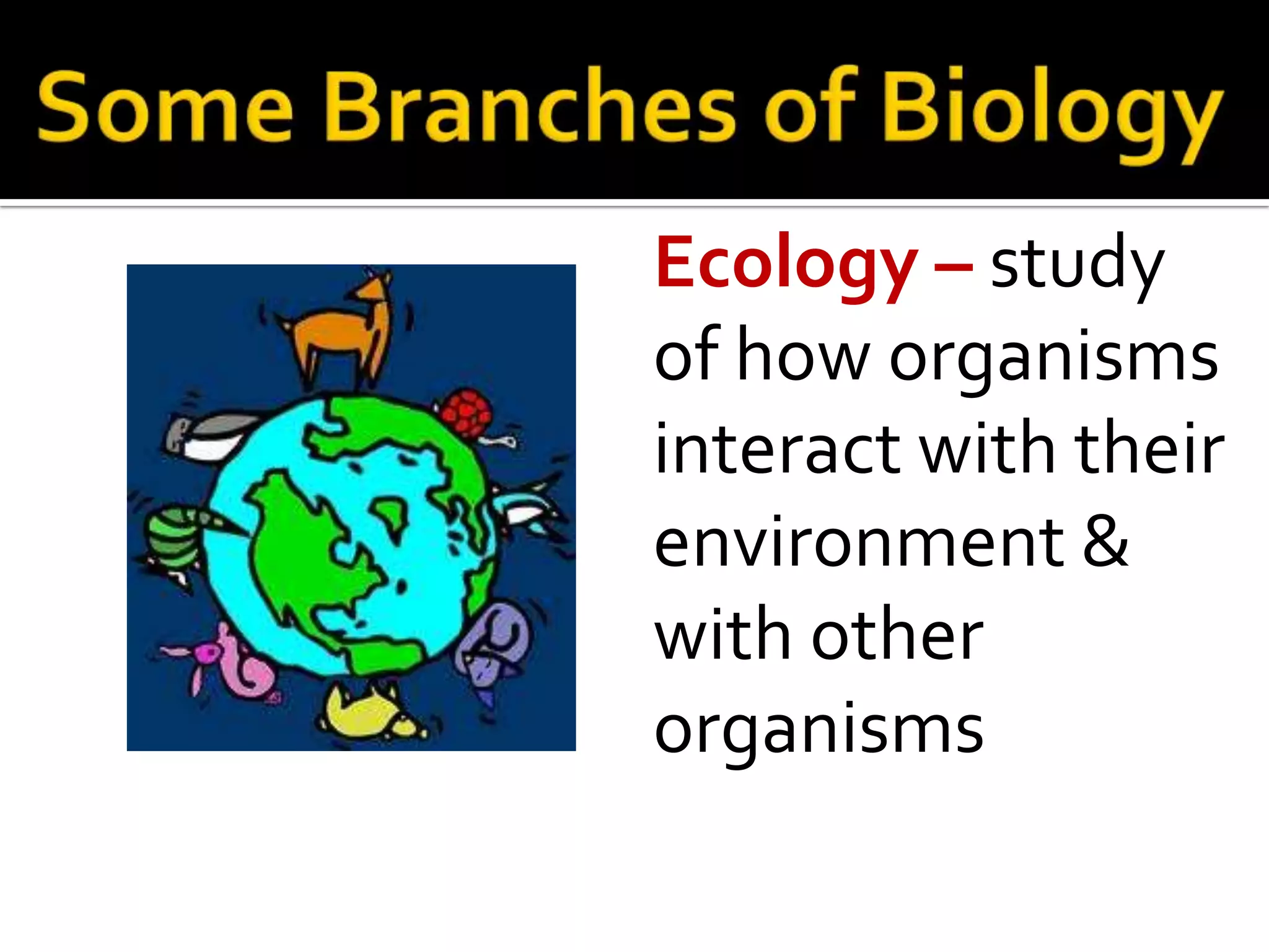 Introduction to Biology | PPTX