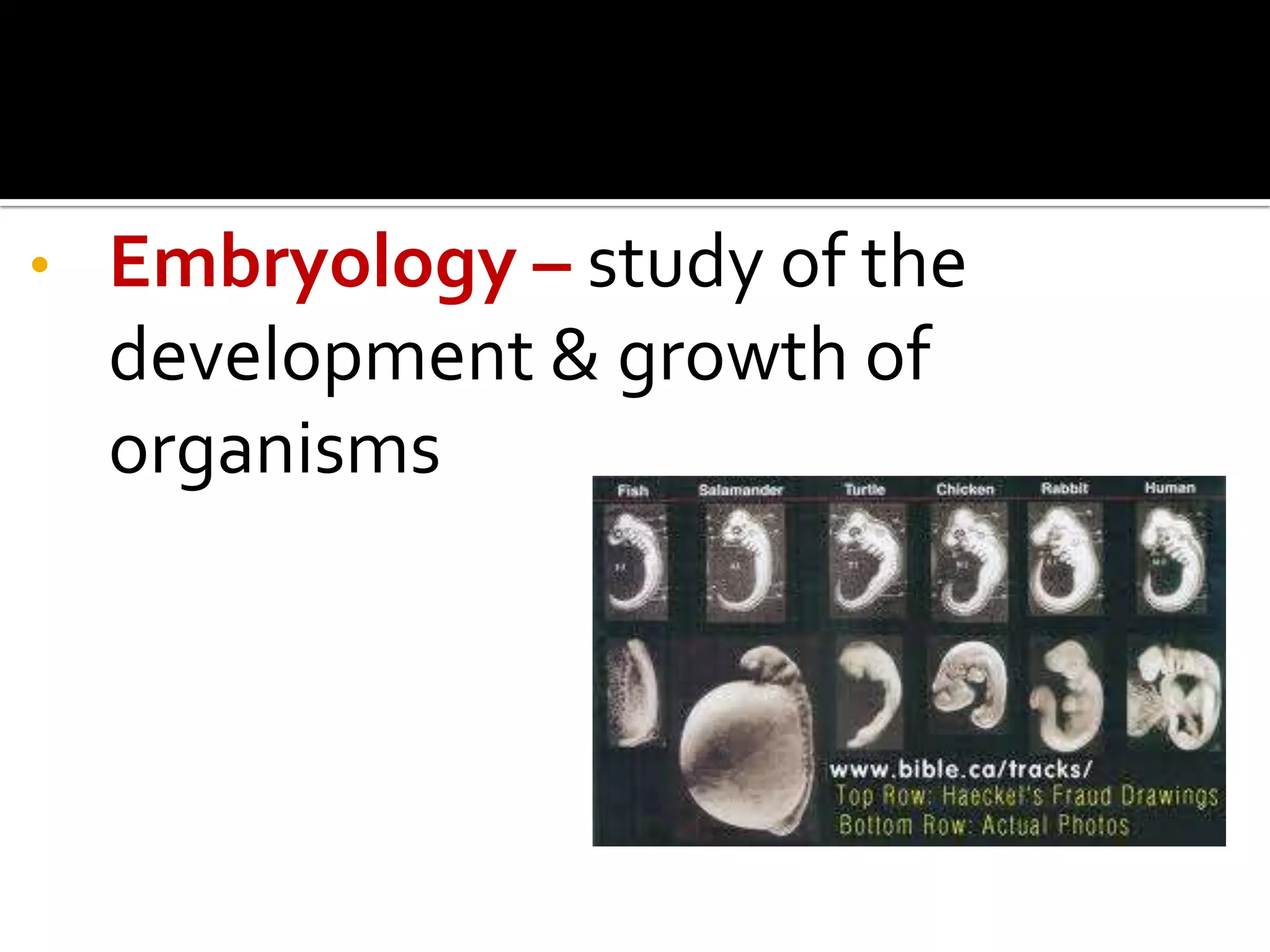Introduction to Biology | PPTX