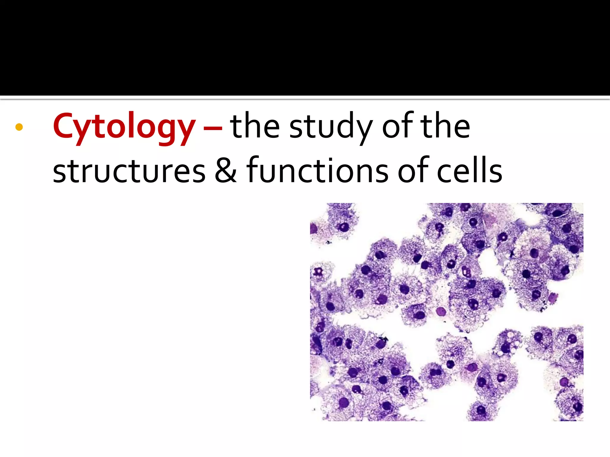 Introduction to Biology | PPTX