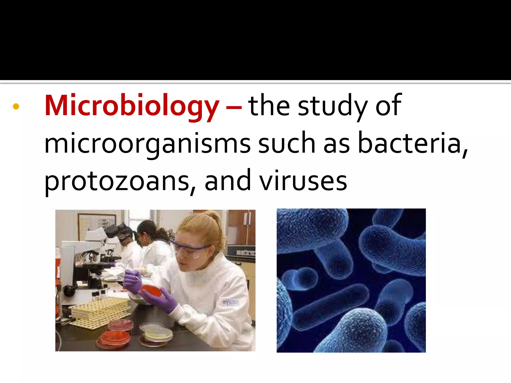 Introduction to Biology | PPTX