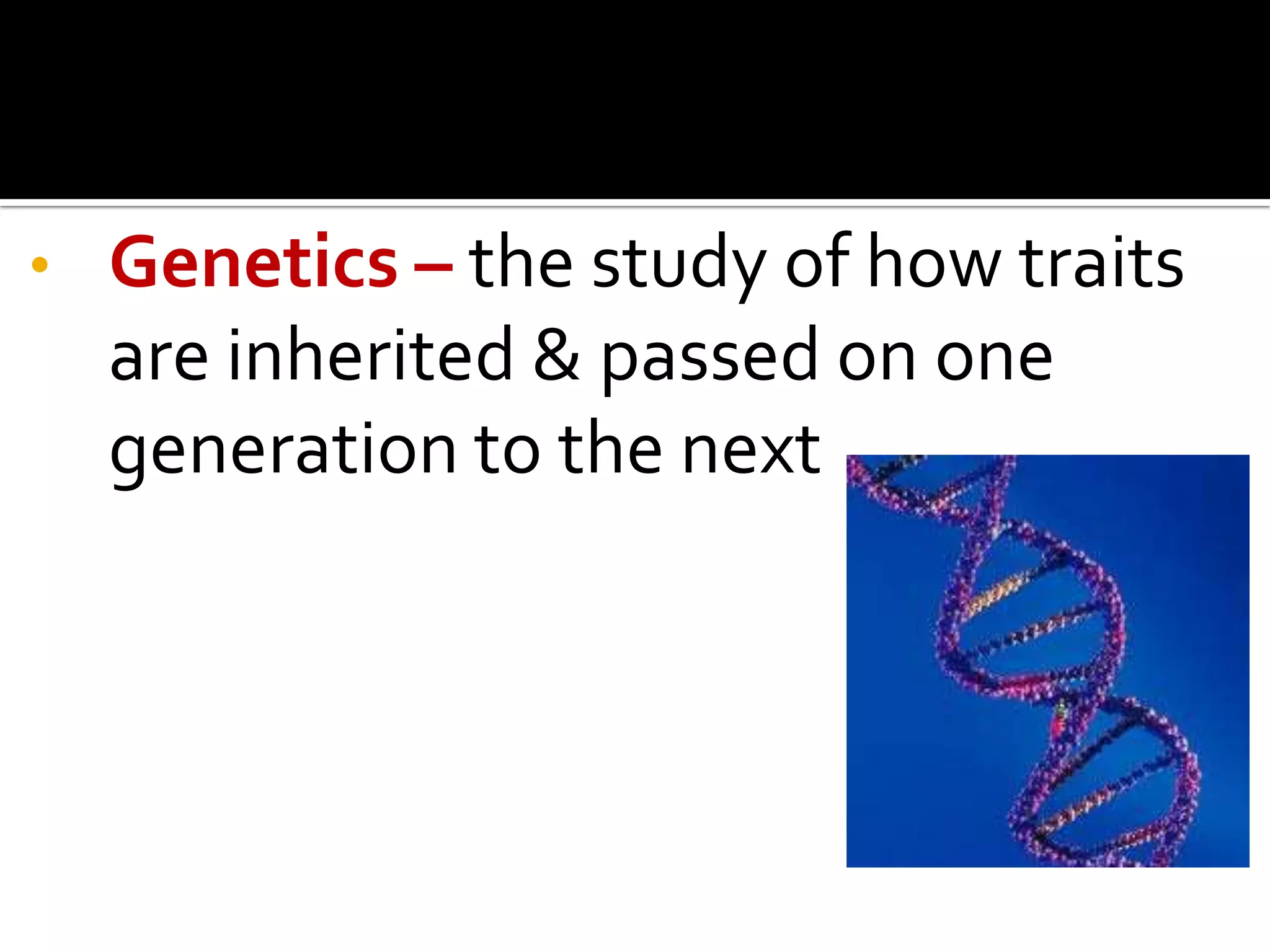 Introduction to Biology | PPTX