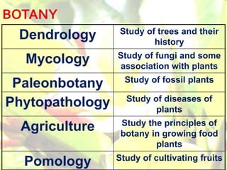 Introduction to Biology | PPTX
