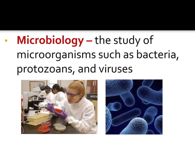 Introduction to Biology | PPTX
