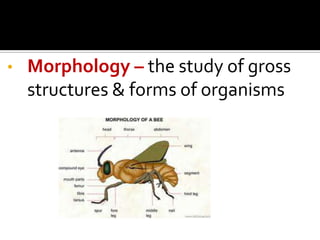 Introduction to Biology | PPTX