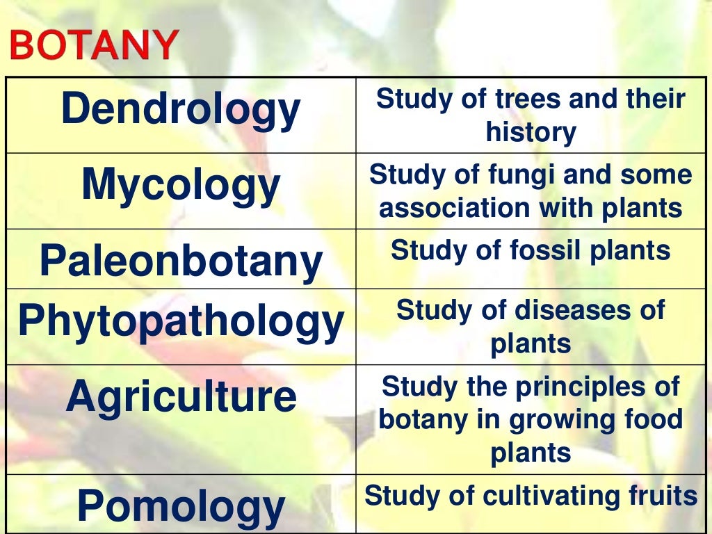 Introduction to Biology
