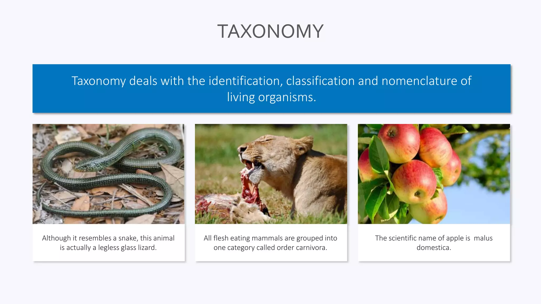 Introduction to biology | PPTX