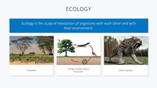 Introduction to biology | PPTX