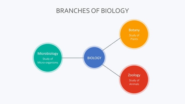 Introduction to biology | PPTX